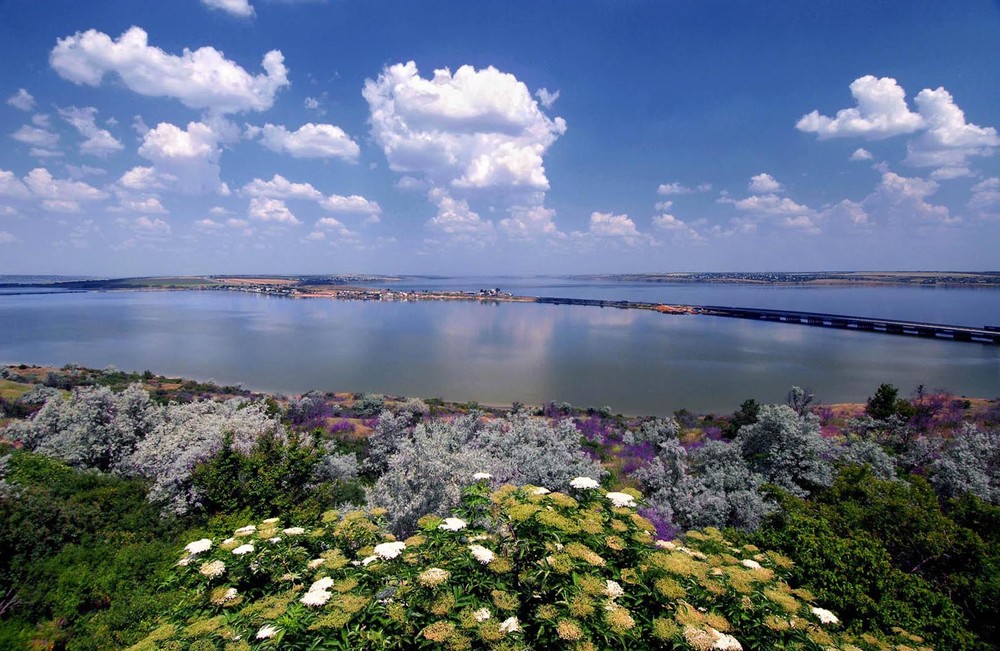 Проблема изменения состава и загрязнение воды лимана | Русское ...