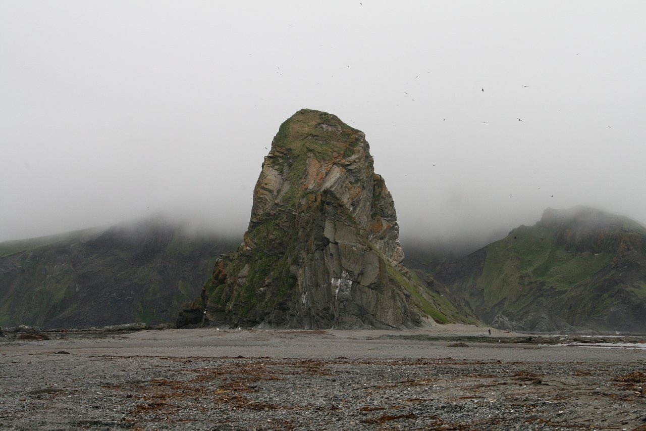 Commander Islands – 2017 | Russian Geographical Society